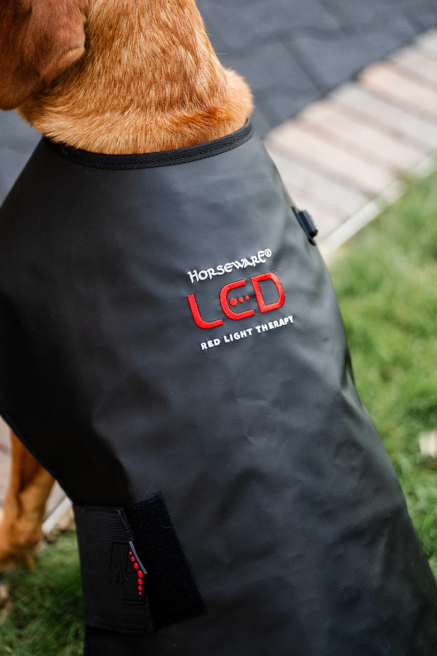 Horseware LED Red Light Therapy Pet Coat » Farbe: black, Größe: One Size